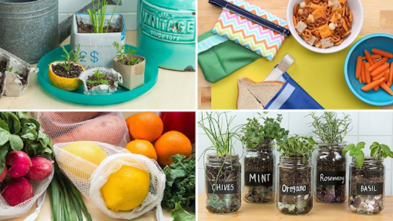 Benefits of Incorporating Sustainability into Your Living Space